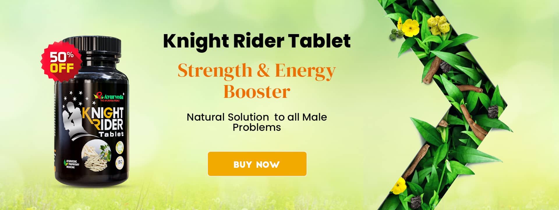 AR Ayurveda-Natural and Ayurvedic Products for a Better Life